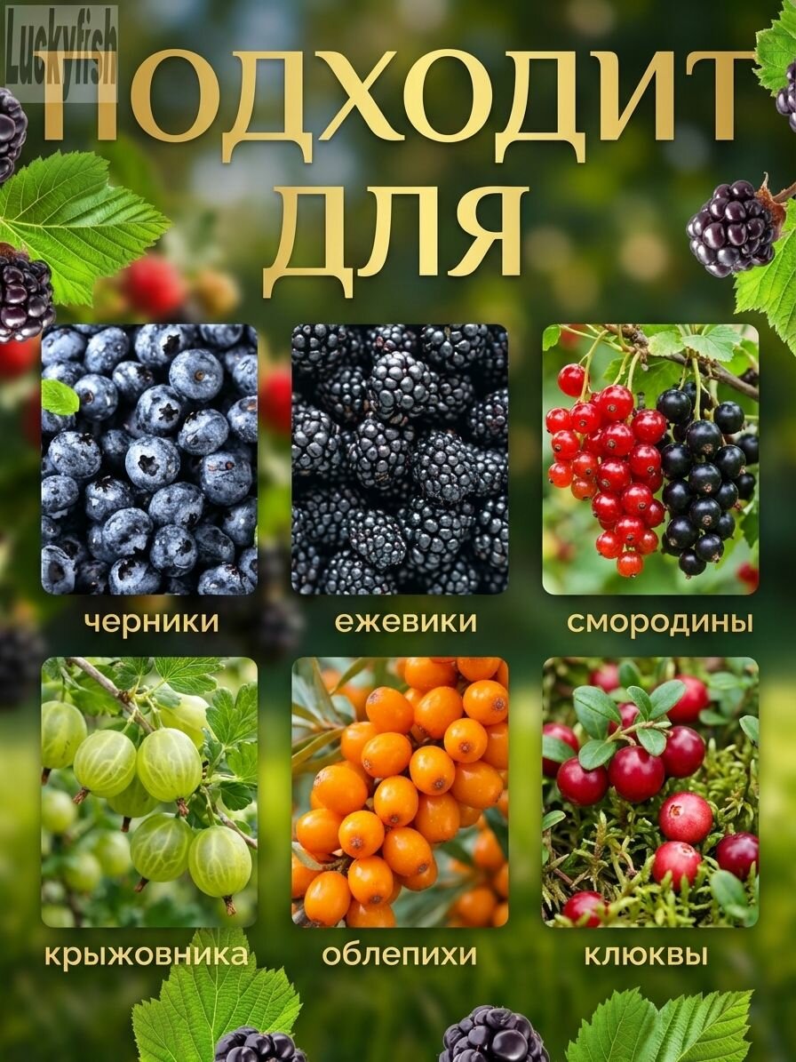 Плодосборникх15х10см — фото 1