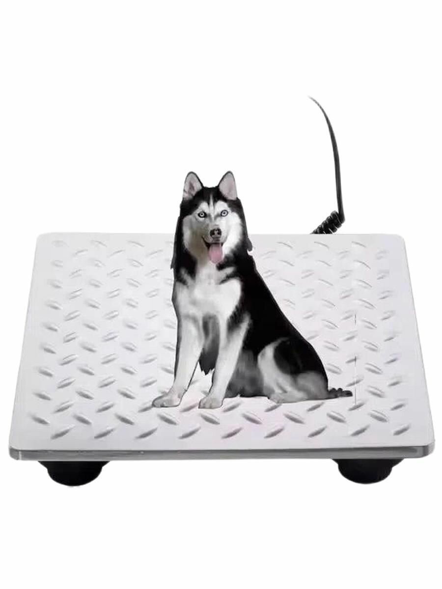 Весы ветеринарные напольные электронные для взвешивания животных до 200 кг