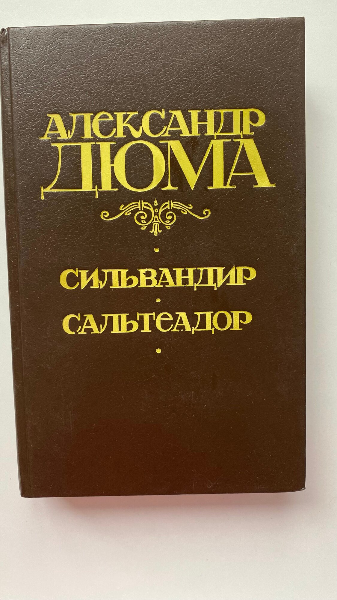 Сильвандир, Сальтеадор, 1991 год