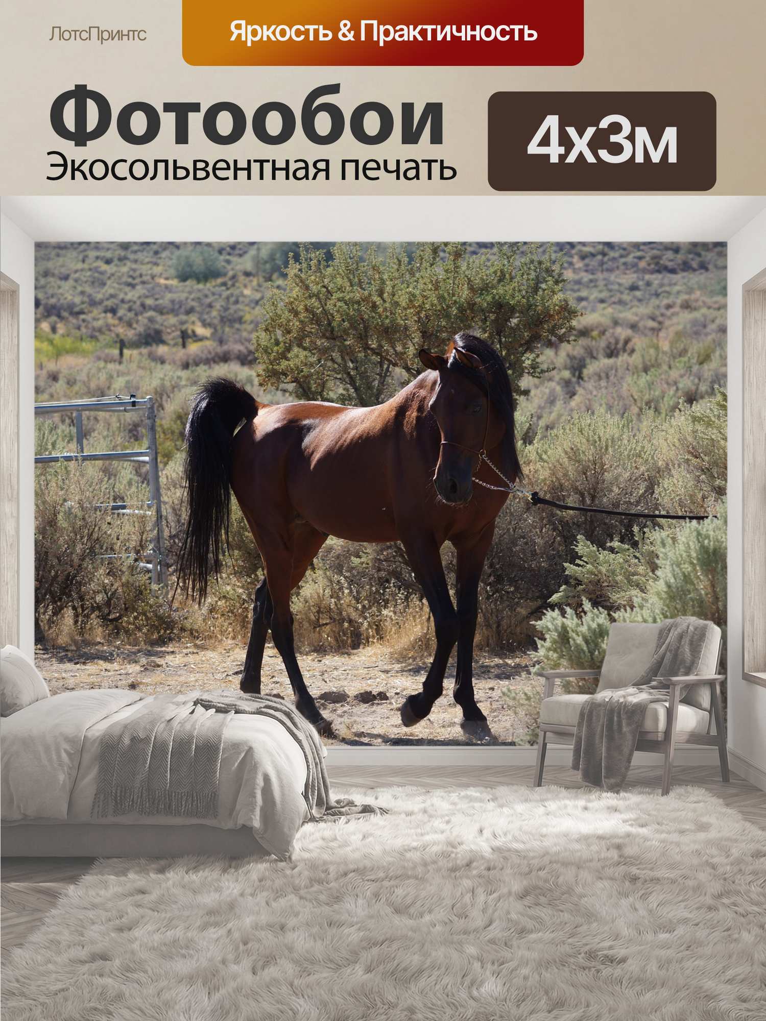 Фотообои "Арабский, лошадь, жеребец" 400x300 см. экосольвентная печать