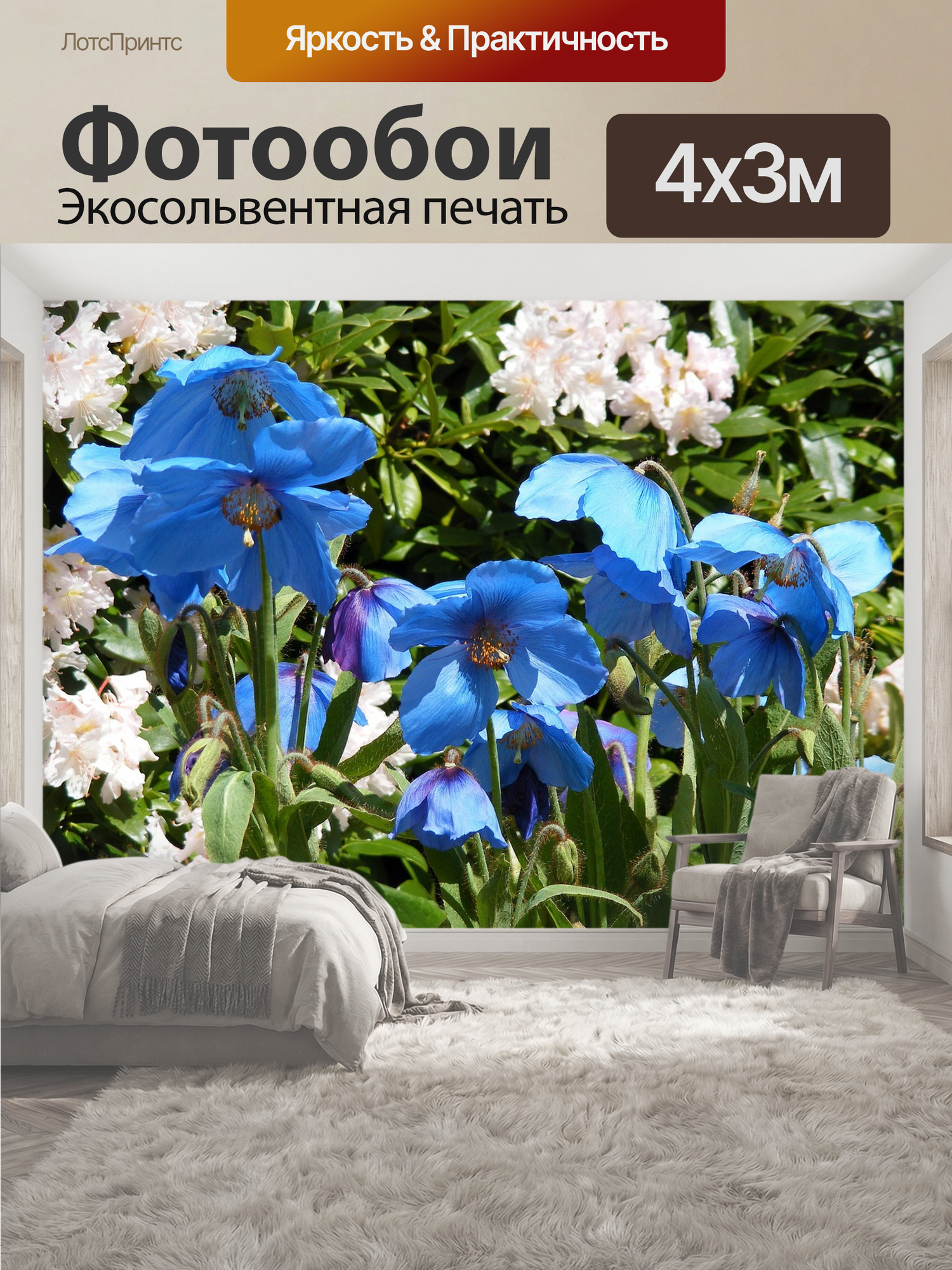 Фотообои "Маки, синий, меконопсис" 400x300 см. экосольвентная печать