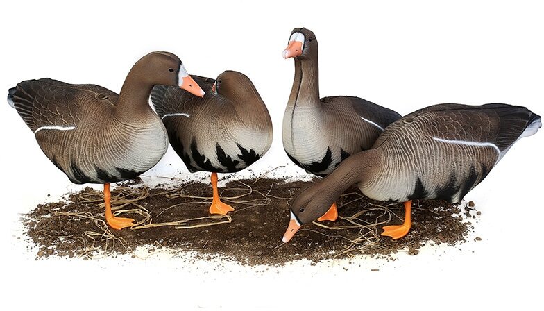 Чучела гусей Белолобый SuperXPE 10 шт.