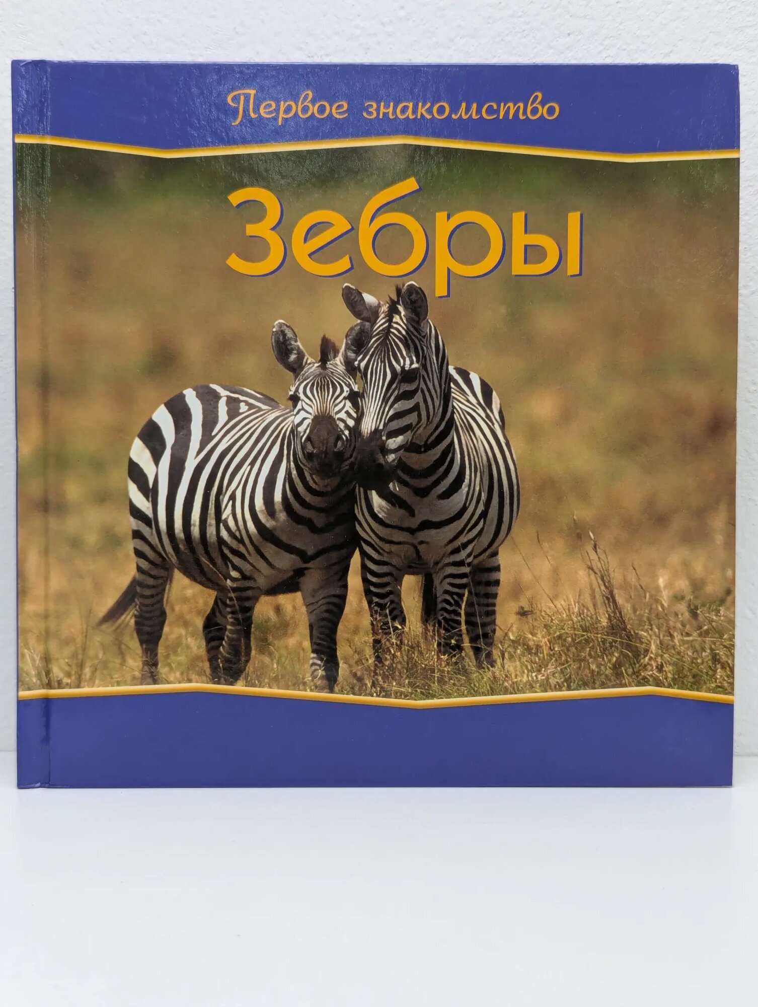 Первое знакомство. Зебры Сборник 2010