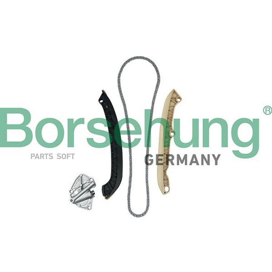 BORSEHUNG B19255 Цепь грм (комплект)