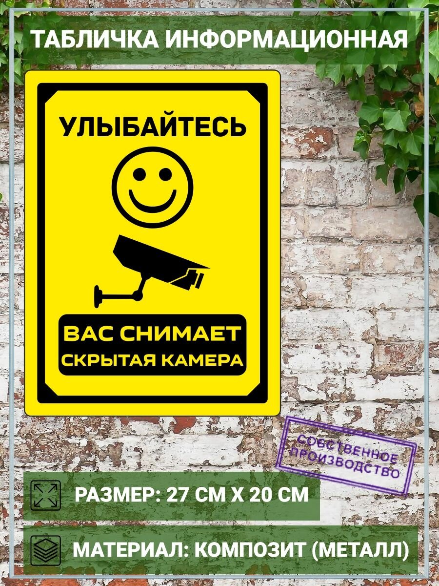 Табличка информационная Внимание Ведется видеонаблюдение №010