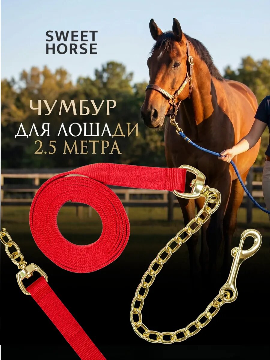Sweethorse / Чумбур с цепочкой и карабином вертлюгом 2.5м, красный