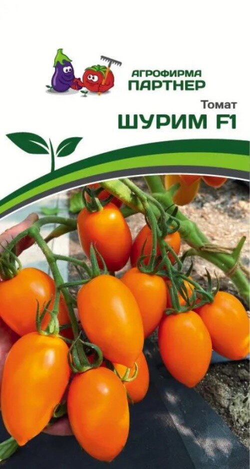 Семена томата партнер Шурим, раннеспелый, детерминантный, 10 шт