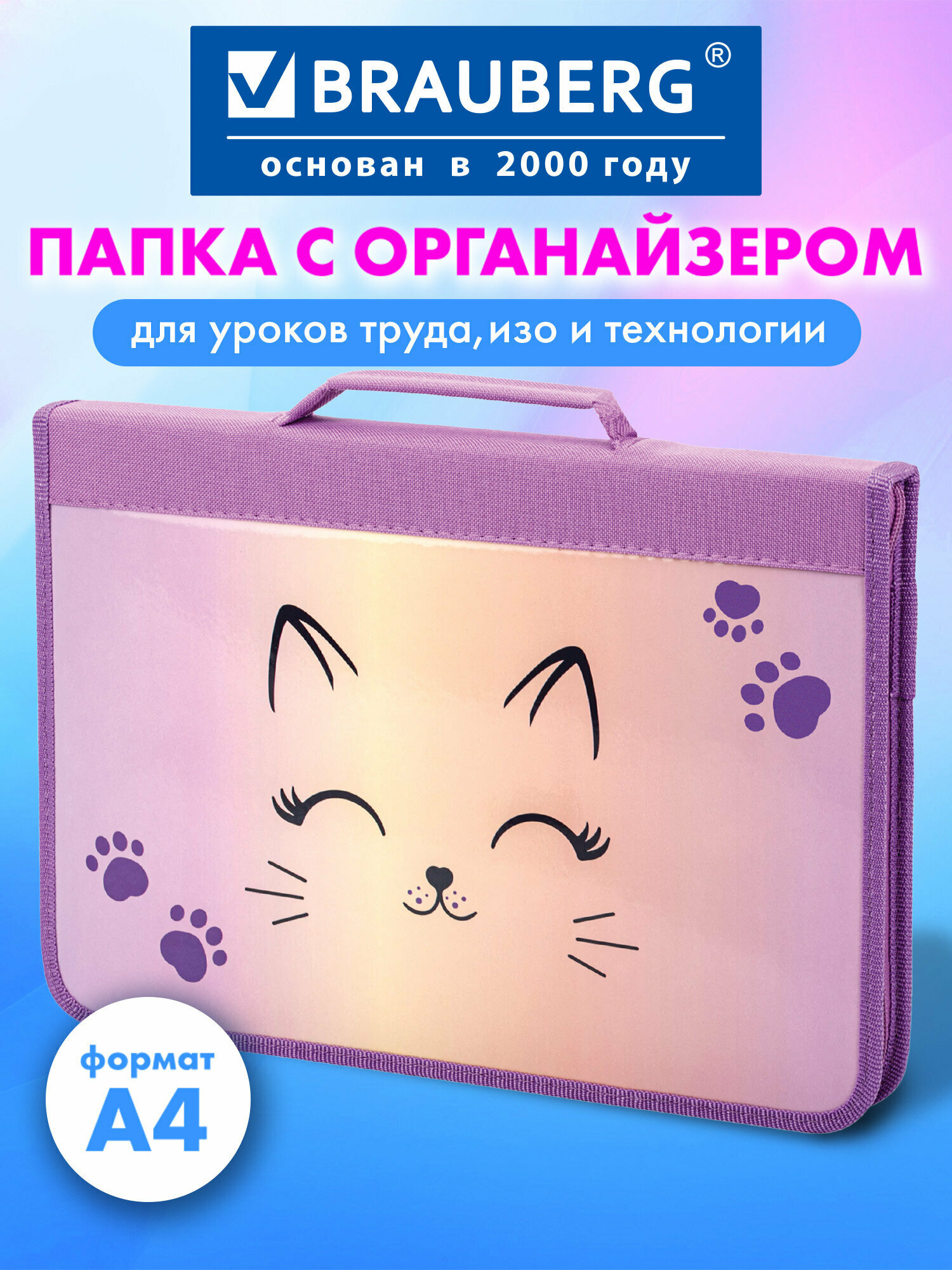Папка для уроков труда и школы для школьника на молнии Brauberg А4 с ручкой, 1 отделение, органайзер, Cheerful, 271448