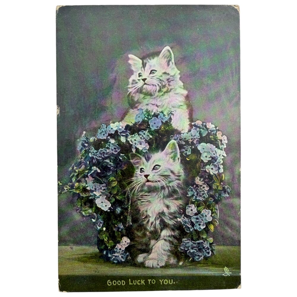 Почтовая открытка "Котята в цветах" 1900-1905 гг. Raphael Tuck & Sons, Европа