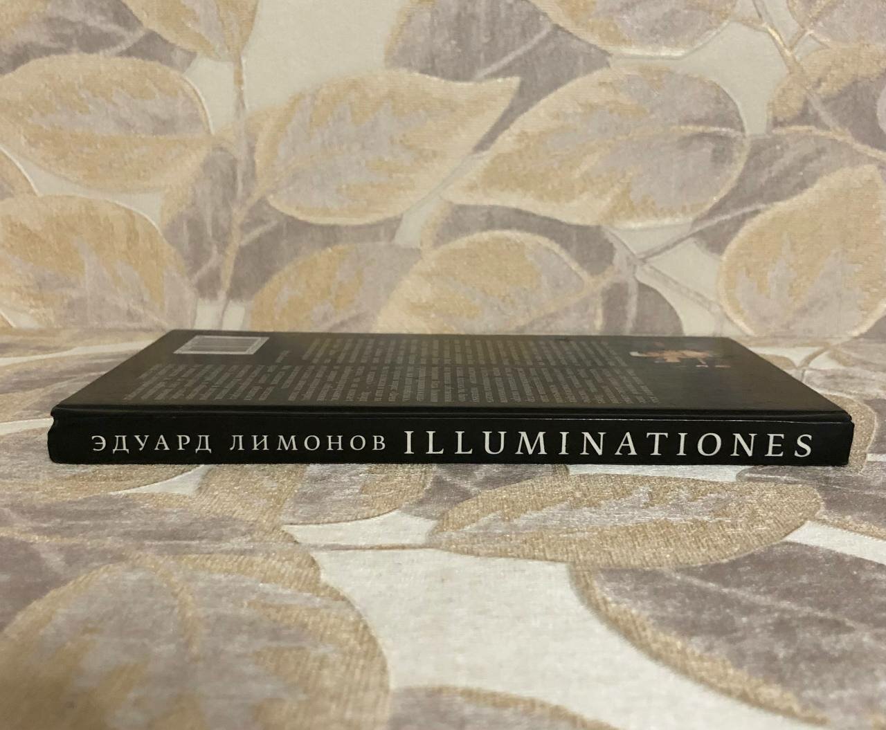 Illuminationes — фото 1