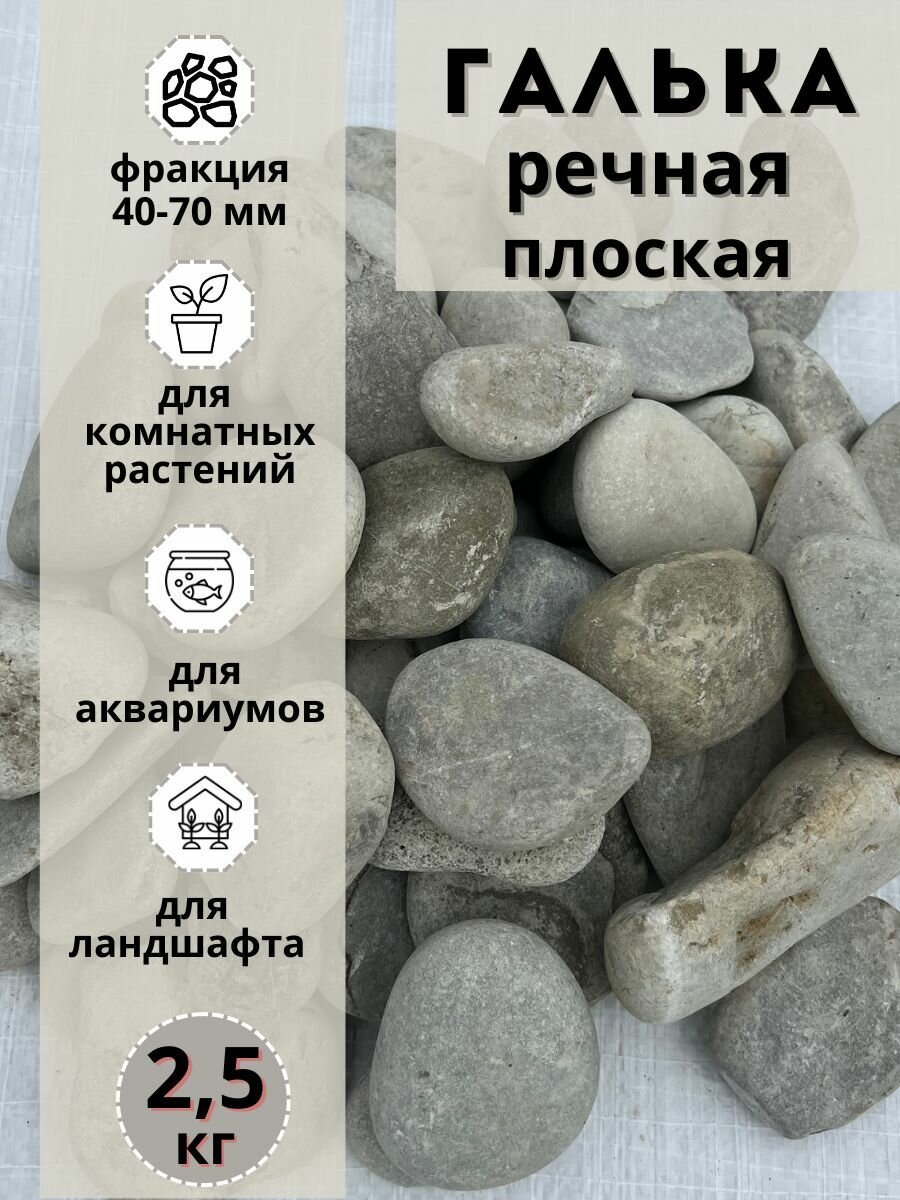 Галька речная светлая плоская 40-70 мм (2.5кг) для сада и огорода и ландшафтного дизайна