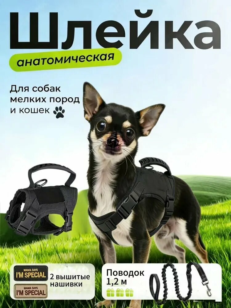 Актическая жилетка-шлейка для кошек с поводком, защита от побега, регулируемая