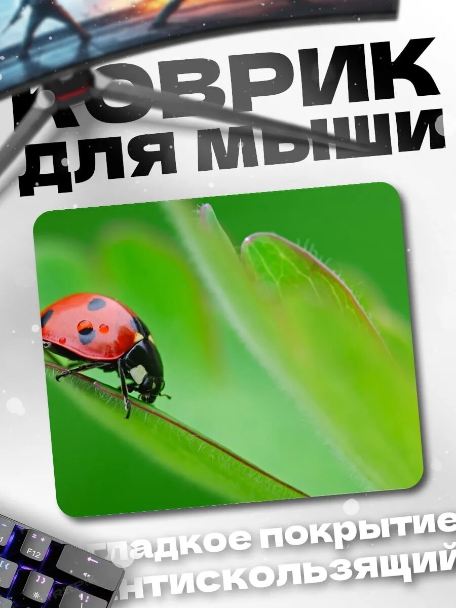 Коврик для мыши Божья коровка на листе