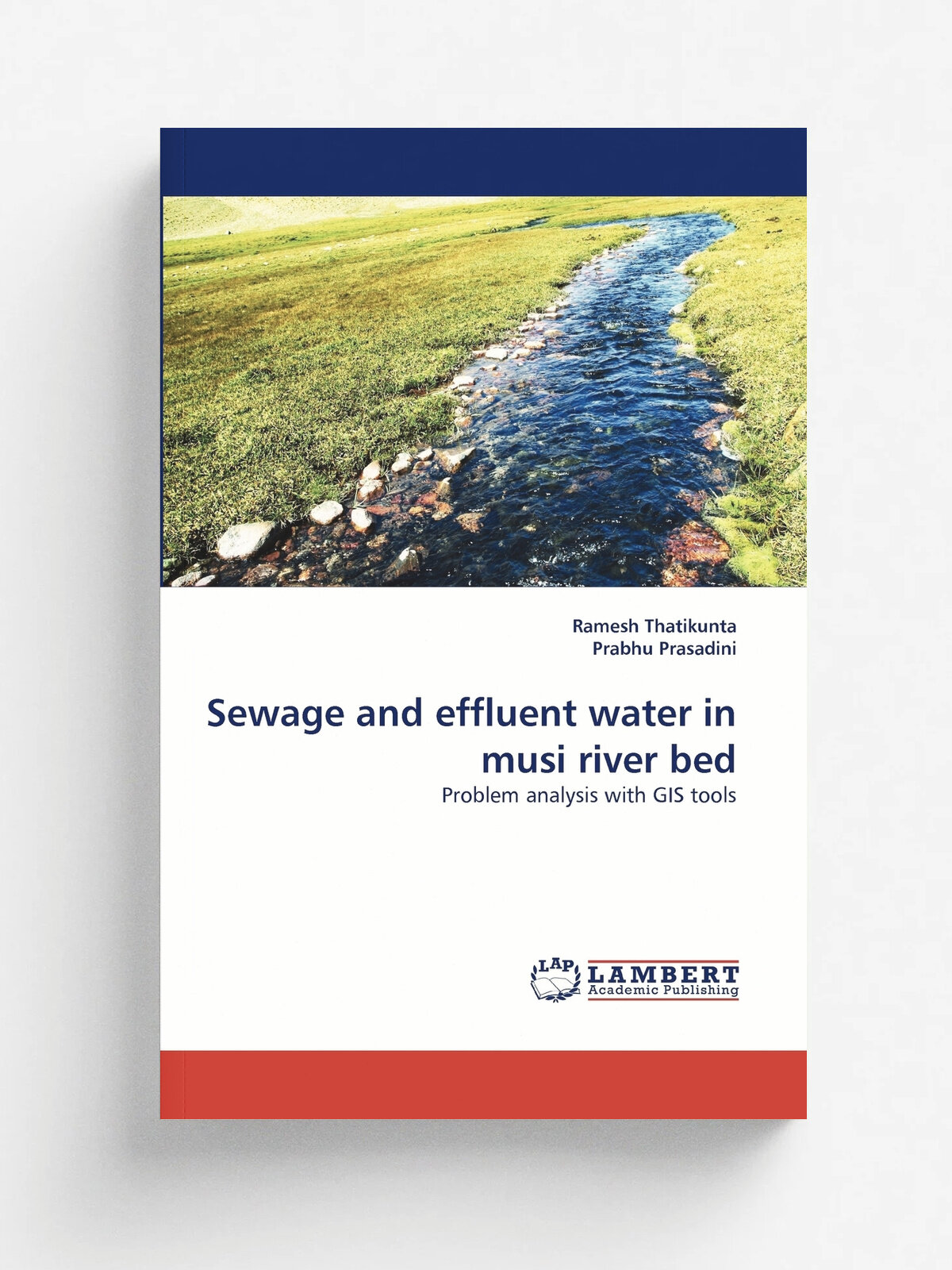 Sewage and Effluent Water in Musi River Bed