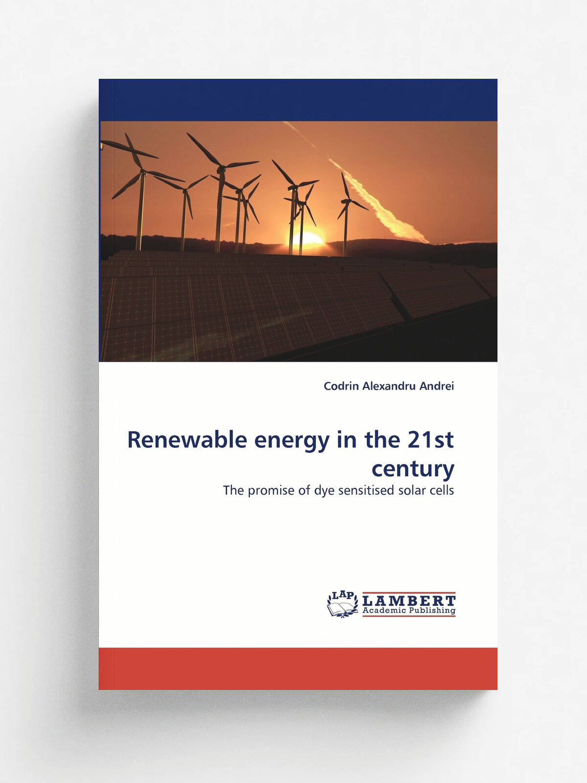 Renewable energy in the 21st century
