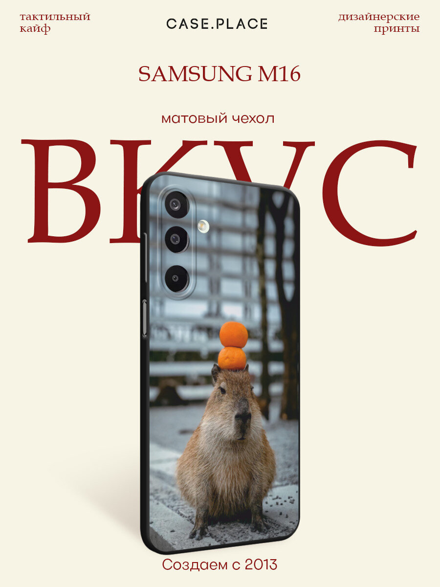 Чехол на Samsung Galaxy M16 / Самсунг M16 с принтом Капибара медитирует