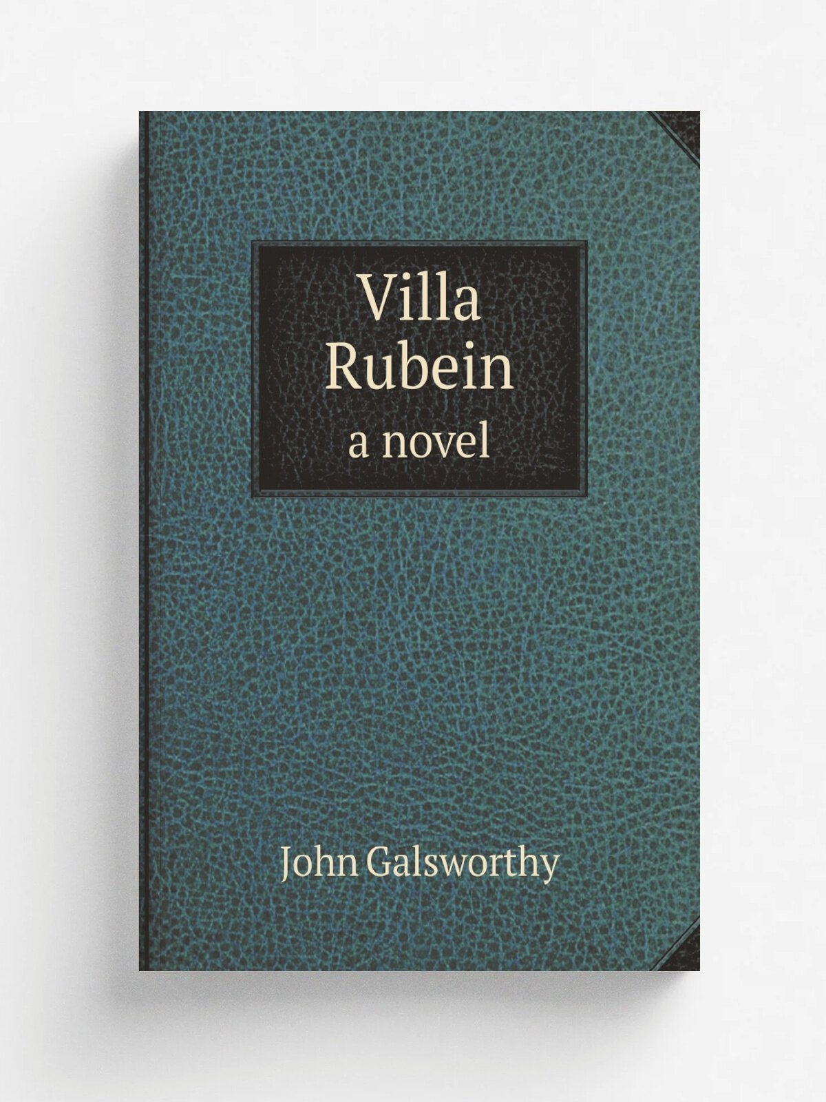Villa Rubein : a novel