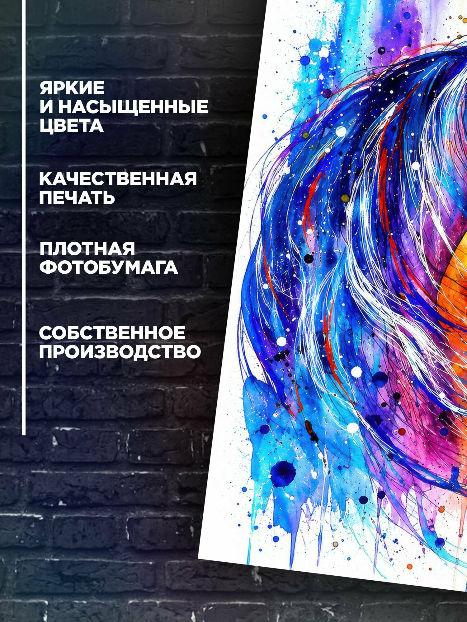 Постер на стену Лошадь — фото 1