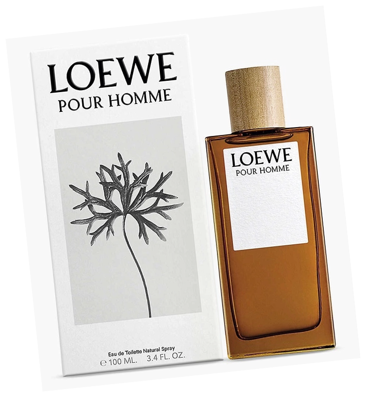 Мужская туалетная вода Лоеве Лоев Пур Хомм / Loewe Loewe Pour Homme 100 мл