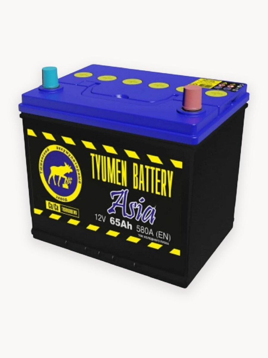 Аккумуляторная батарея TYUMEN BATTERY Тюмень asia 6ст -65.0 l TNSa65.0
