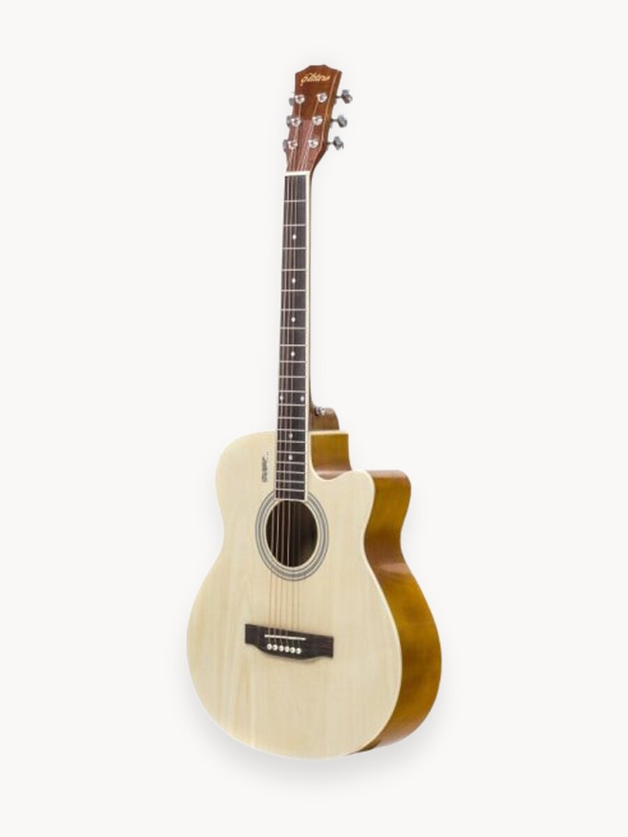 Акустическая Elitaro гитара E4010C N