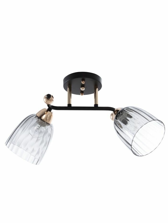 Люстра 12229/2, 2хE27, 60 Вт, чёрный/золото
