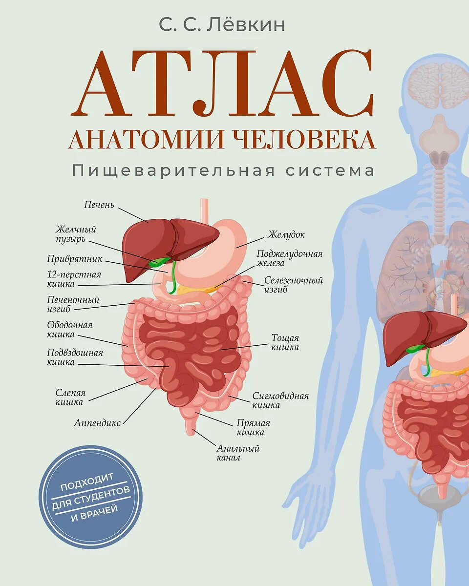 Книга по медицине АСТ "Атлас анатомии человека. Пищеварительная система" Лёвкин С. С, 2025 год
