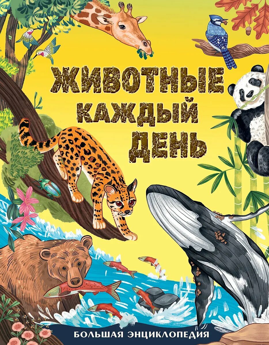 Энциклопедия АСТ Животные каждый день. Большая Смит М, 2025 г