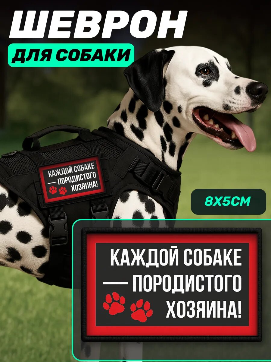 Шеврон на липучке Каждой собаке породистого хозяина