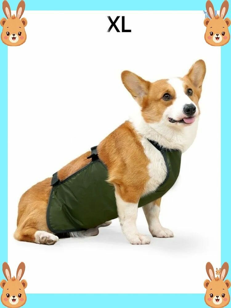 Непромокаемый фартук для собак, стильный бестселлер премиум