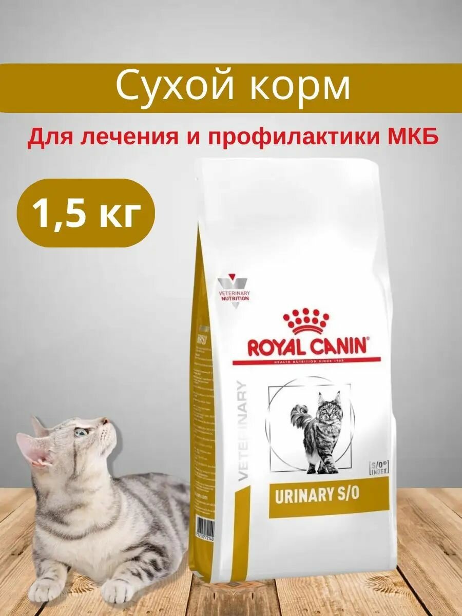 Royal Canin Сухой корм Royal Canin Urinary S/O Lp34 для взрослых кошек при МКБ, 1,5 кг