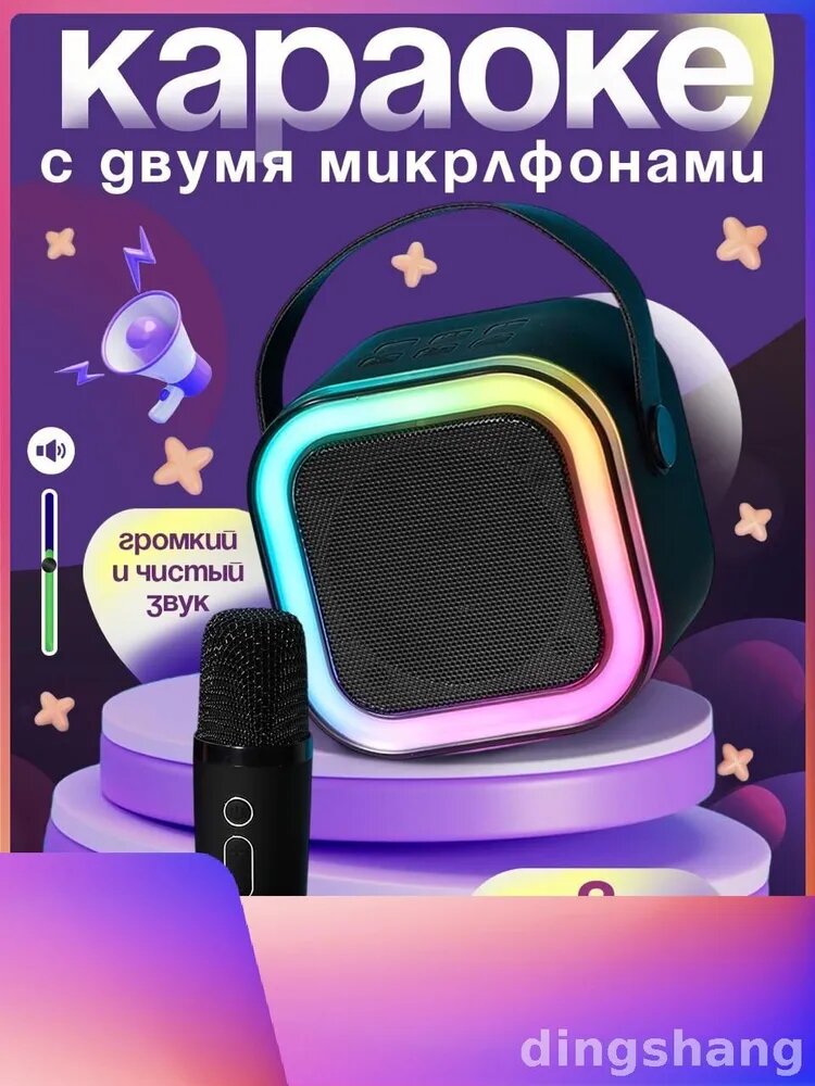 Караоке-система DINGSHANG с двумя микрофонами, портативная, для дома, черная