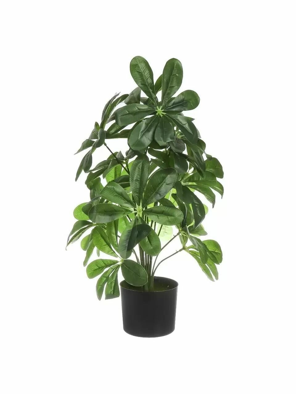 Цветок искусственный КНР Шеффлера, декоративный, в кашпо, высота 60 см