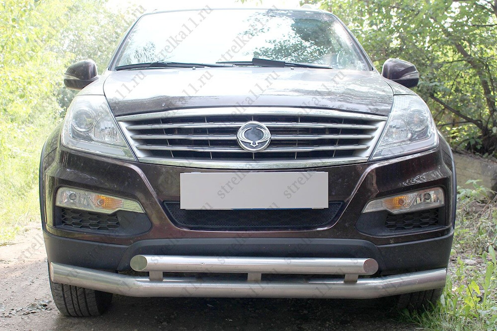 Защитная сетка радиатора с окантовкой и защелками для Ssang Yong Rexton (III) 2012-