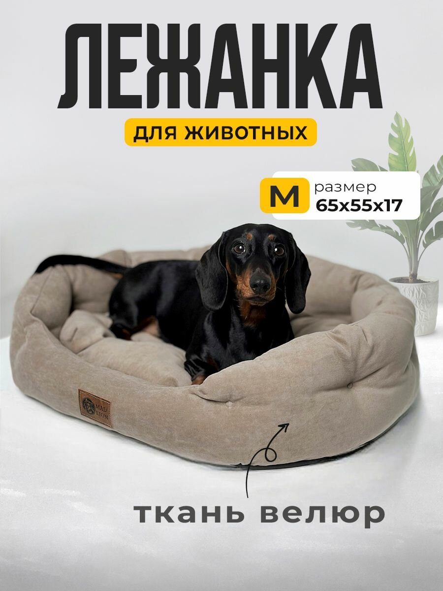 Лежанка для кошек и собак мелких и средних пород с бортиками Mad Lion Велюр 65х55 см