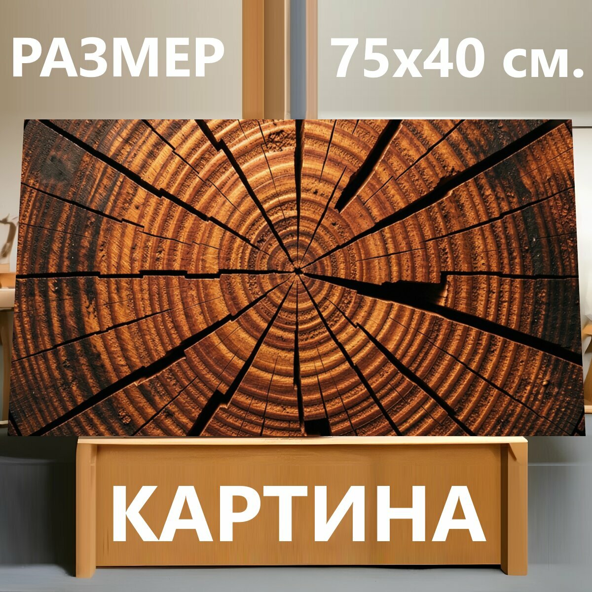 Картина на холсте "Срез древесины с годичными кольцами. Крупный план спила дерева с выразительной текстурой, концентрическими линиями и." на подрамнике 75х40 см. для интерьера