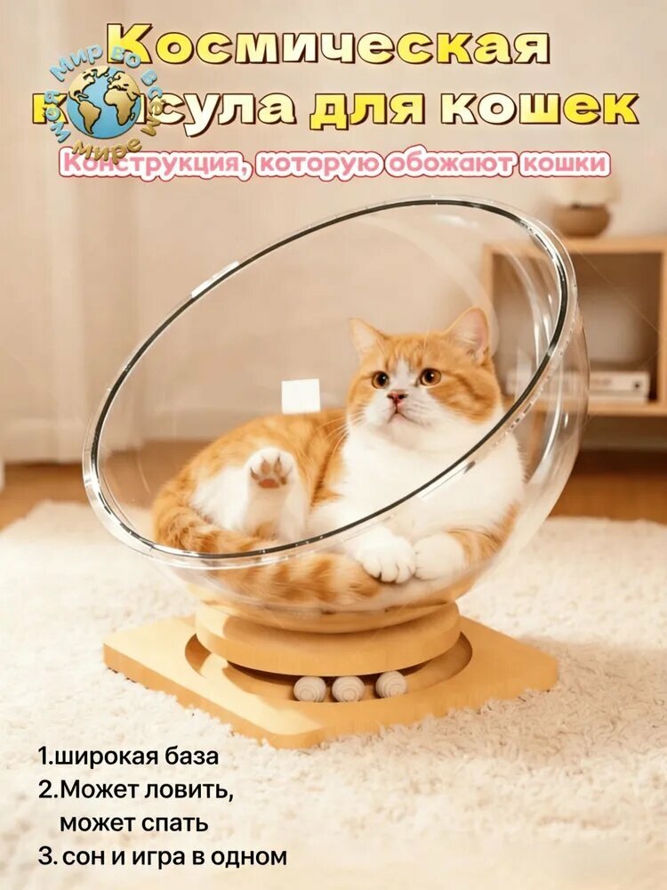 Лежанка-капсула для кошек, овальная, из прозрачного акрила, диаметр 37 см