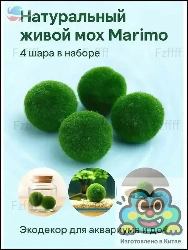 Кладофора шаровидная мох маримо (Aegagropila linnaei) 0.5см 4шт.