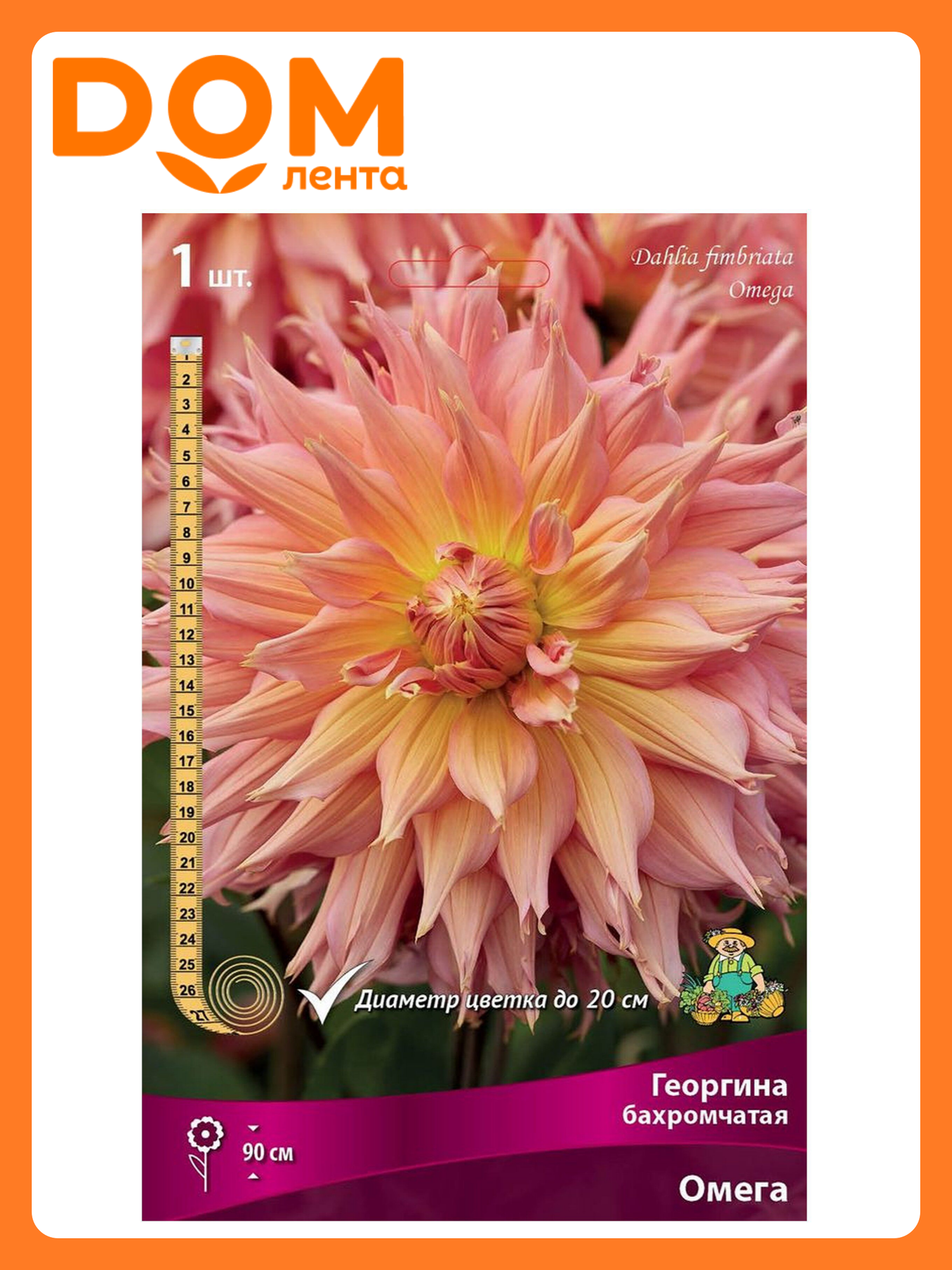 Клубень Георгины поиск Омега