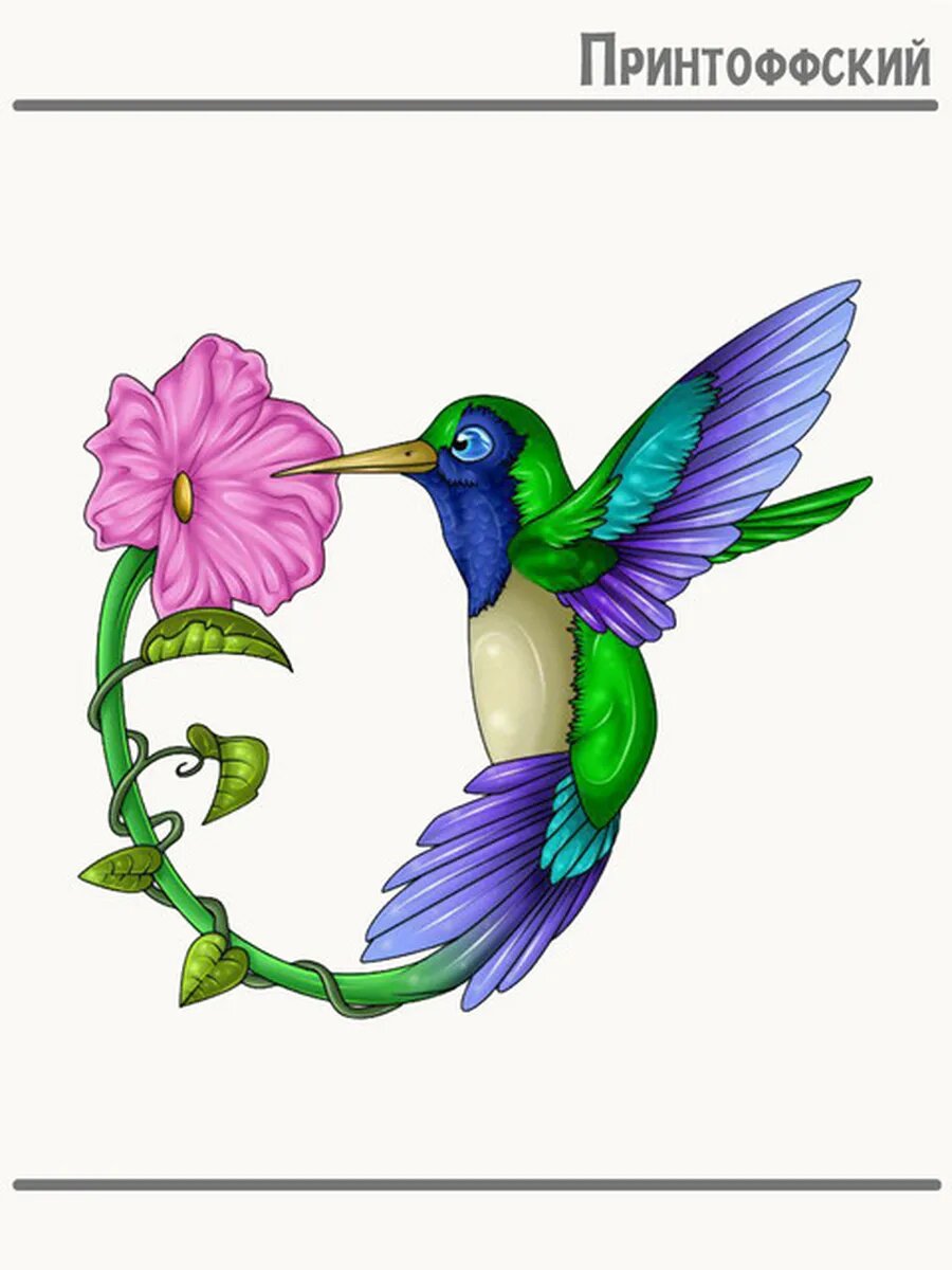 Термонаклейка для одежды и аксессуаров DTF-печать птица колибри bird hummingbird с веточкой