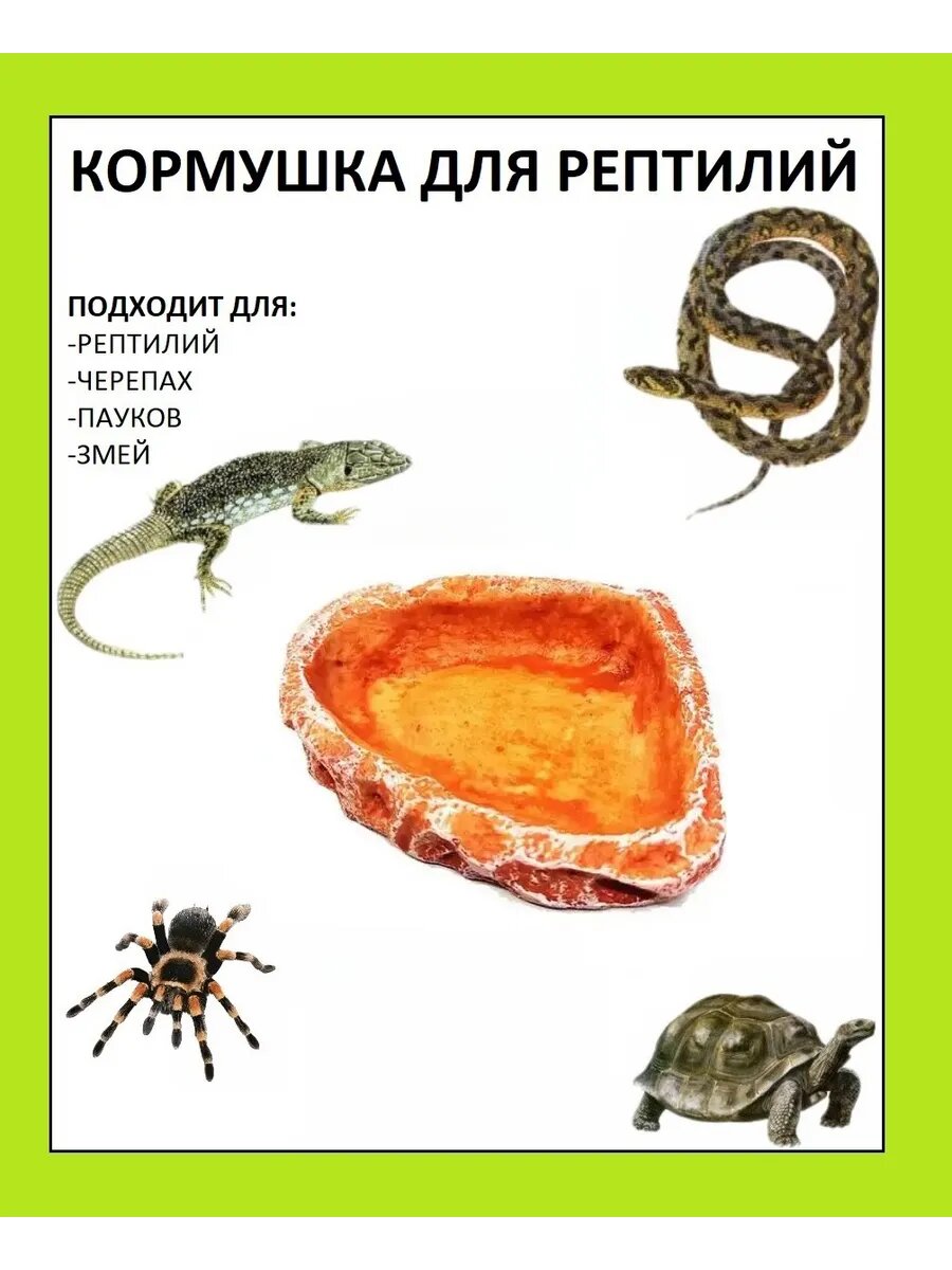 Кормушка поилка для рептилий для террариума клетки аквариума