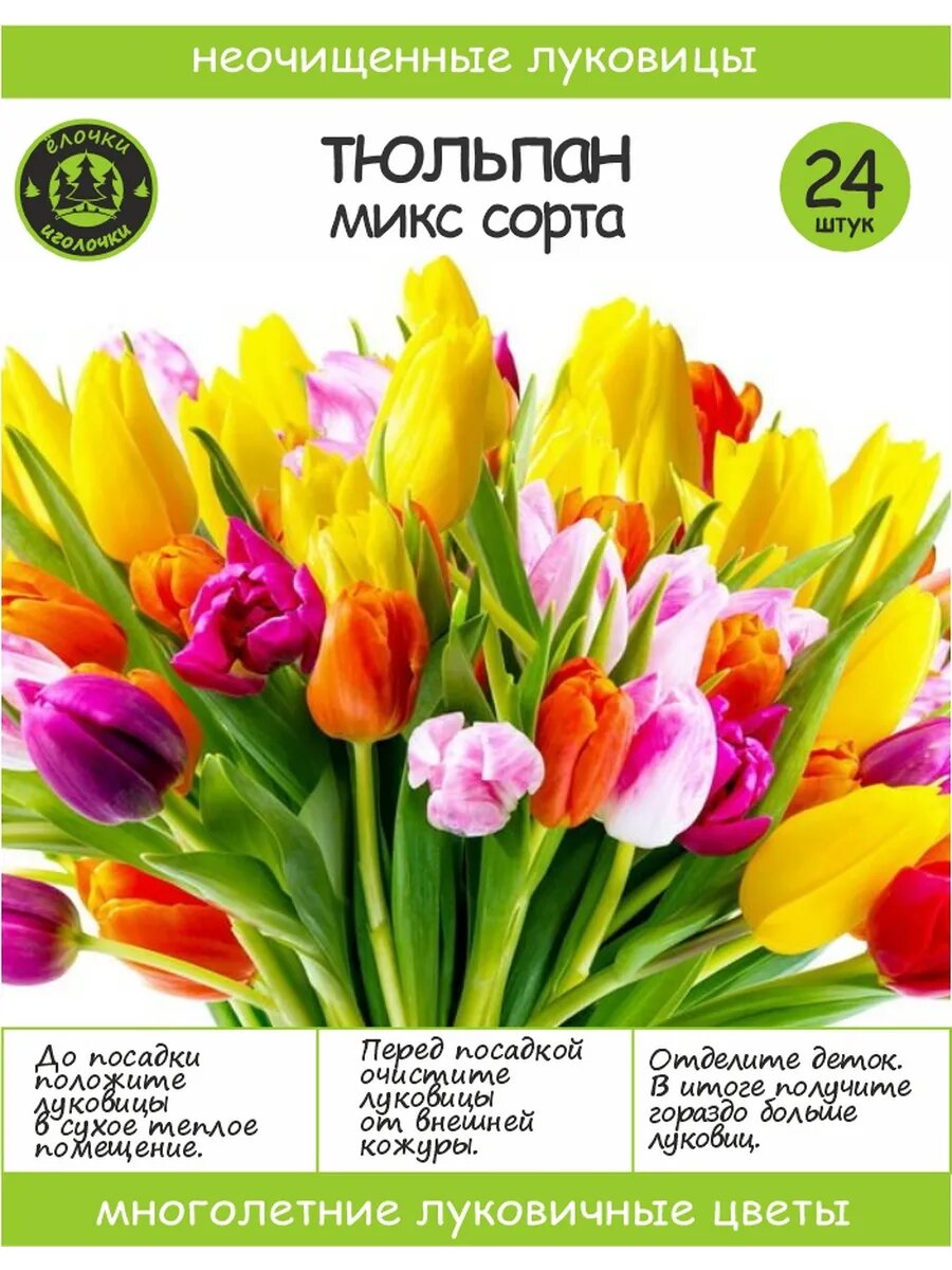 Тюльпан, Микс сортов 24 шт