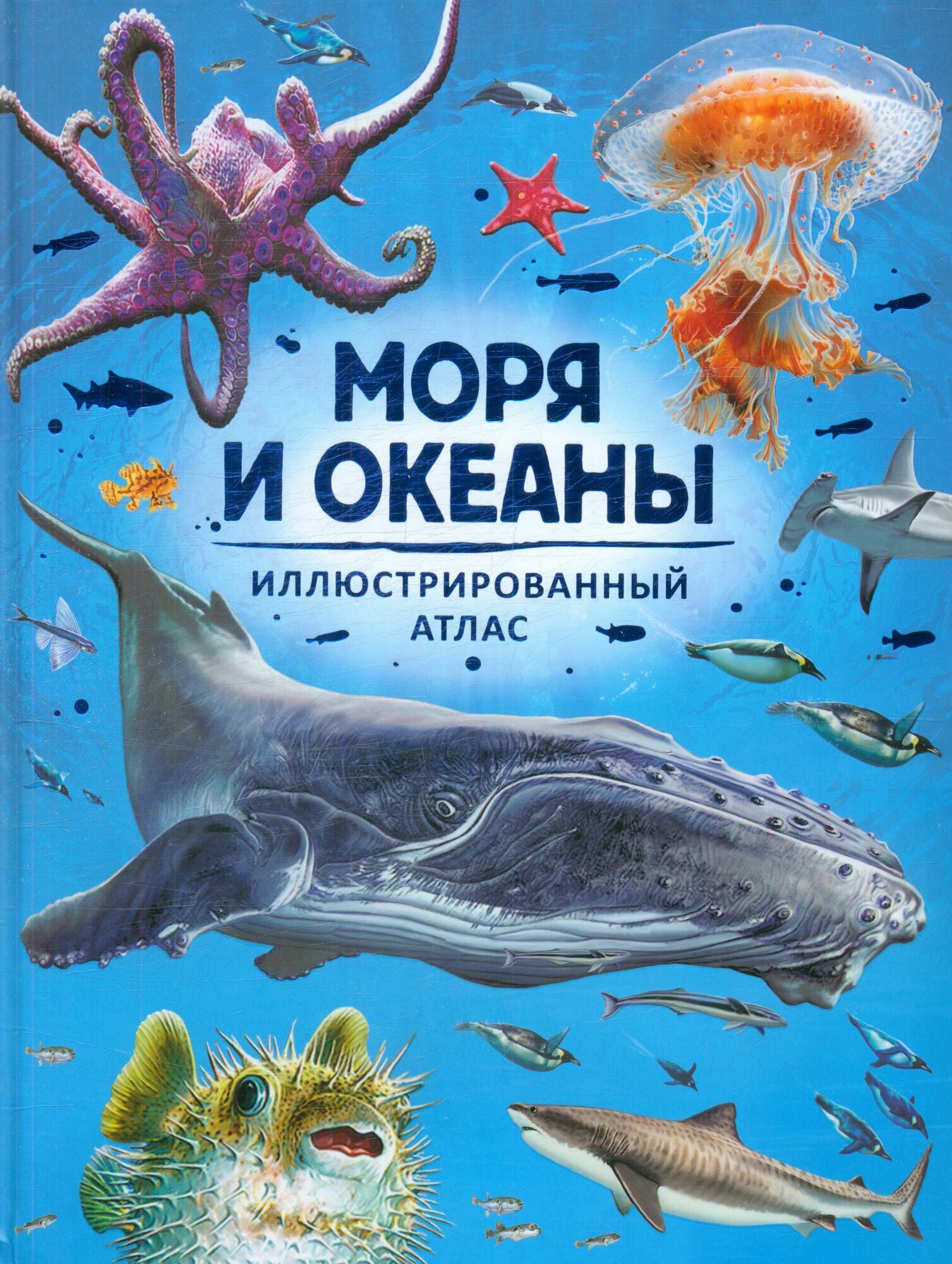 Моря и океаны. Иллюстрированный атлас (Делгадо К.), (Росмэн/Росмэн-Пресс, 2023), 7Б, c.64