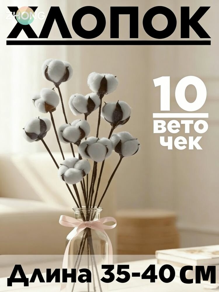 Сухоцветы Хлопок, 36 см, 10 шт