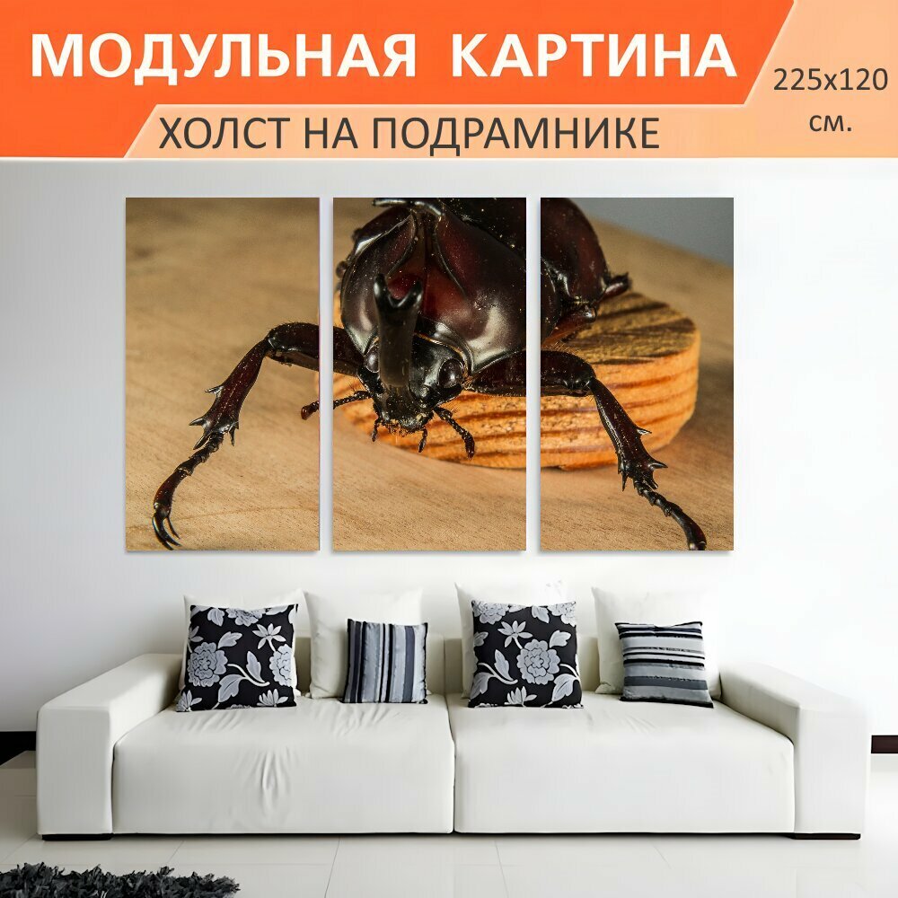 Модульная картина на холсте "Тропических жуков, жук носорог, riesenkaefer" триптих на подрамнике 225х120 см. для интерьера