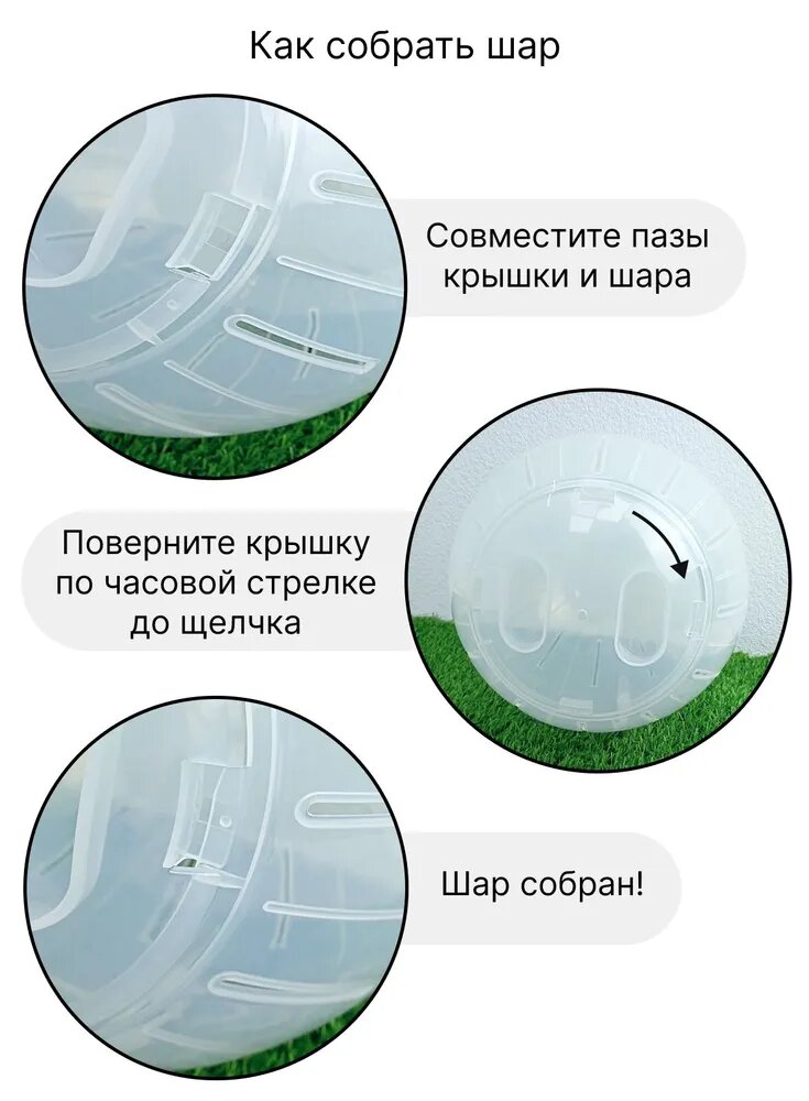 Прогулочный шар для грызунов, шиншилл, морских свинок, крыс, мышей, хомяков, 25 см, прозрачный