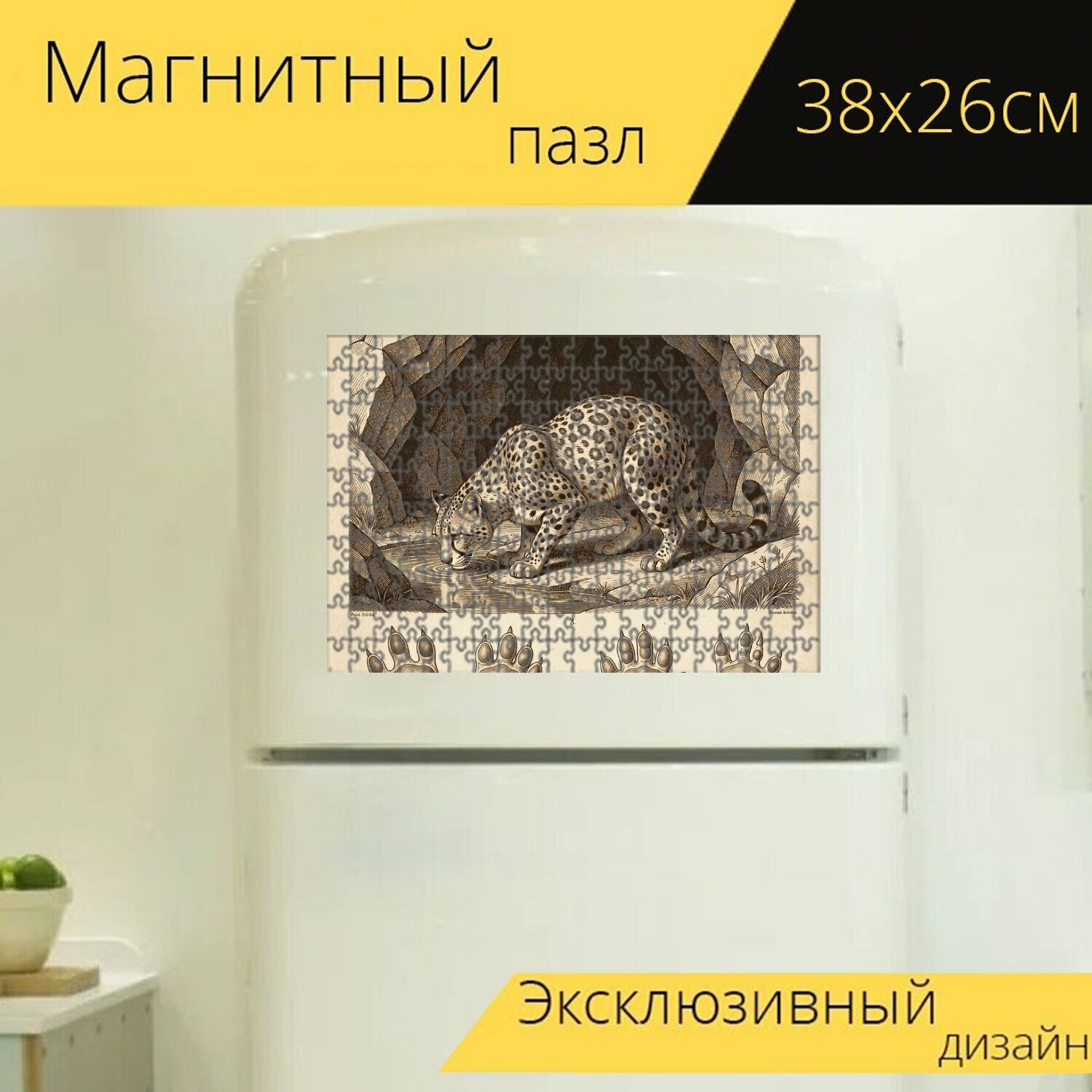 Магнитный пазл "Леопард у подземного источника. Старинная гравюрная иллюстрация в сепии: пятнистый хищник пьёт воду у скального грота, внизу показаны лапы." для интерьера, 38х26 см.