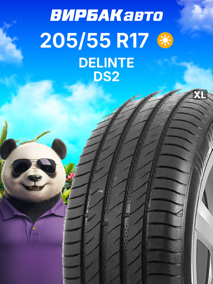 Летние шины DELINTE DS2 205/55 R17 95W XL