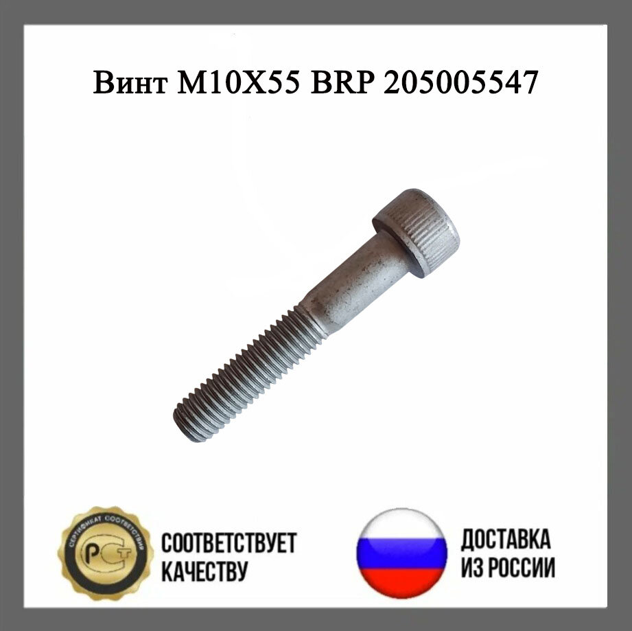 Винт M10X55 BRP 205005547
