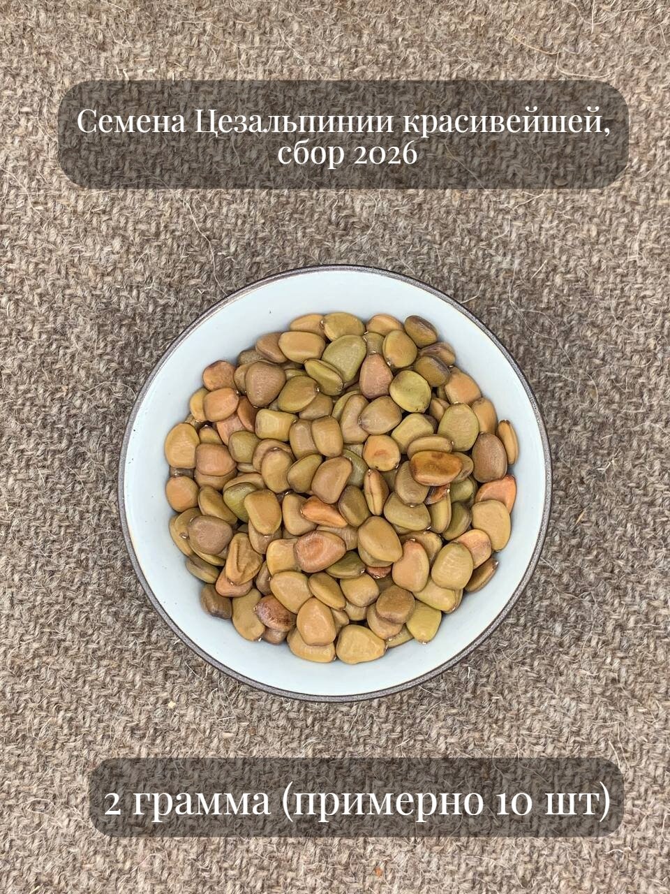 Семена Цезальпинии красивейшей "Павлиний цветок", 2 грамма (примерно 10 шт)
